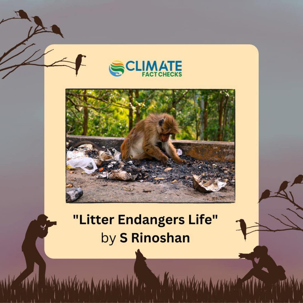 Awards and Prizes – Department of Media Studies